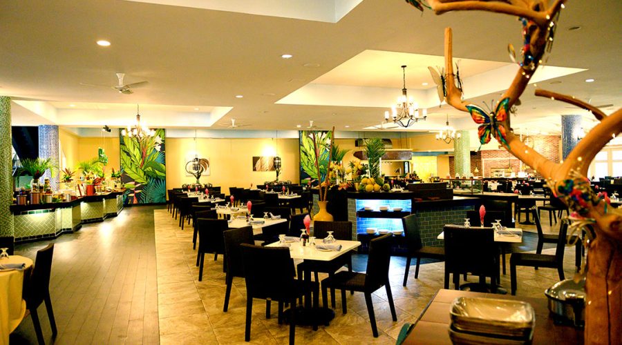 Coconut Bay Resort | St Lucia | All-Inclusive Honeymoon Resort